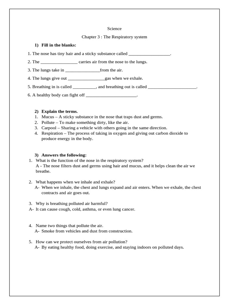Science - The Respiratory System | PDF