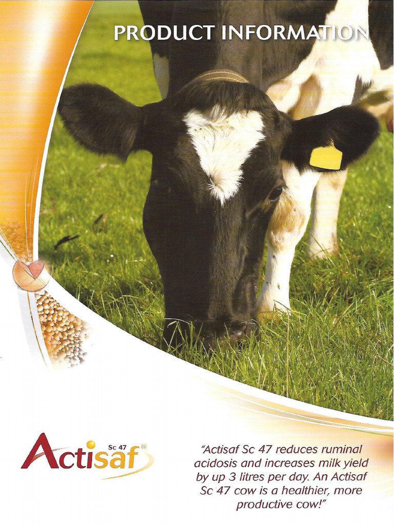 Act Isaf | PDF