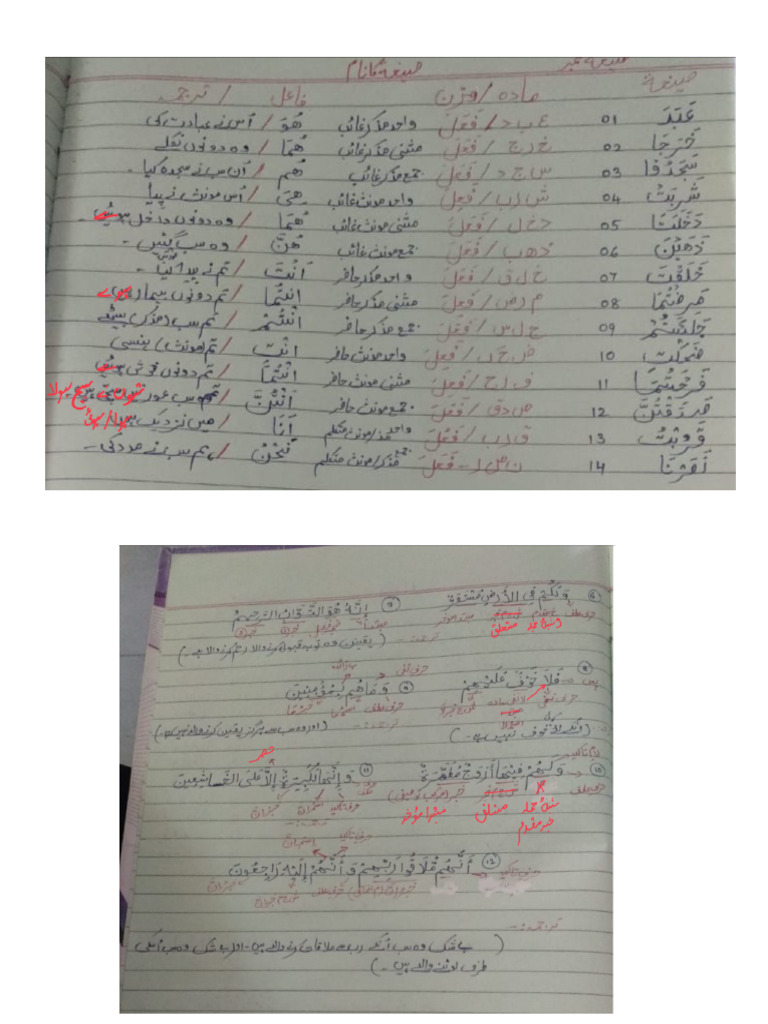 Activity Answer Key 30 | PDF