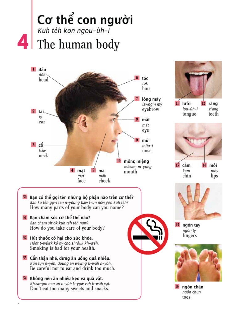 Human Body Parts and Health Tips | PDF | Medical Specialties | Human ...