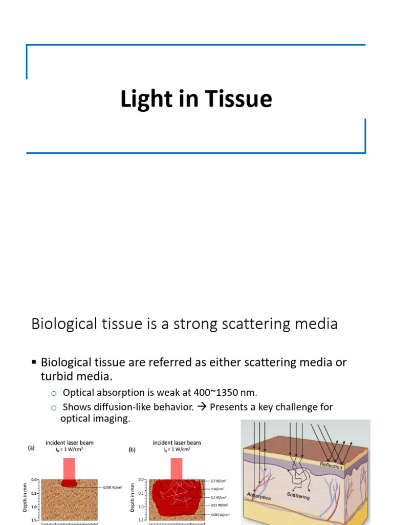 Light Scattering and Absorption in Tissue | PDF | Scattering | Electron