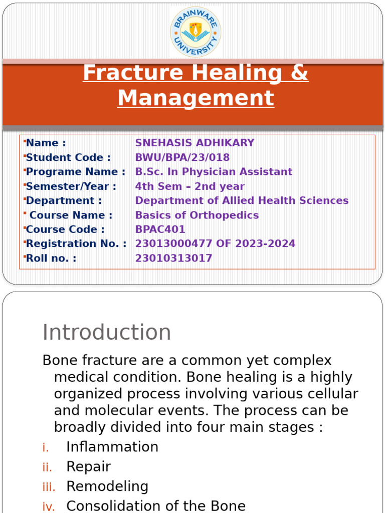 Phases of Bone Fracture Healing | PDF | Bone | Inflammation