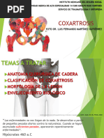 Articulación Coxofemoral Cuadro Integrador | PDF | Rodilla | Cadera