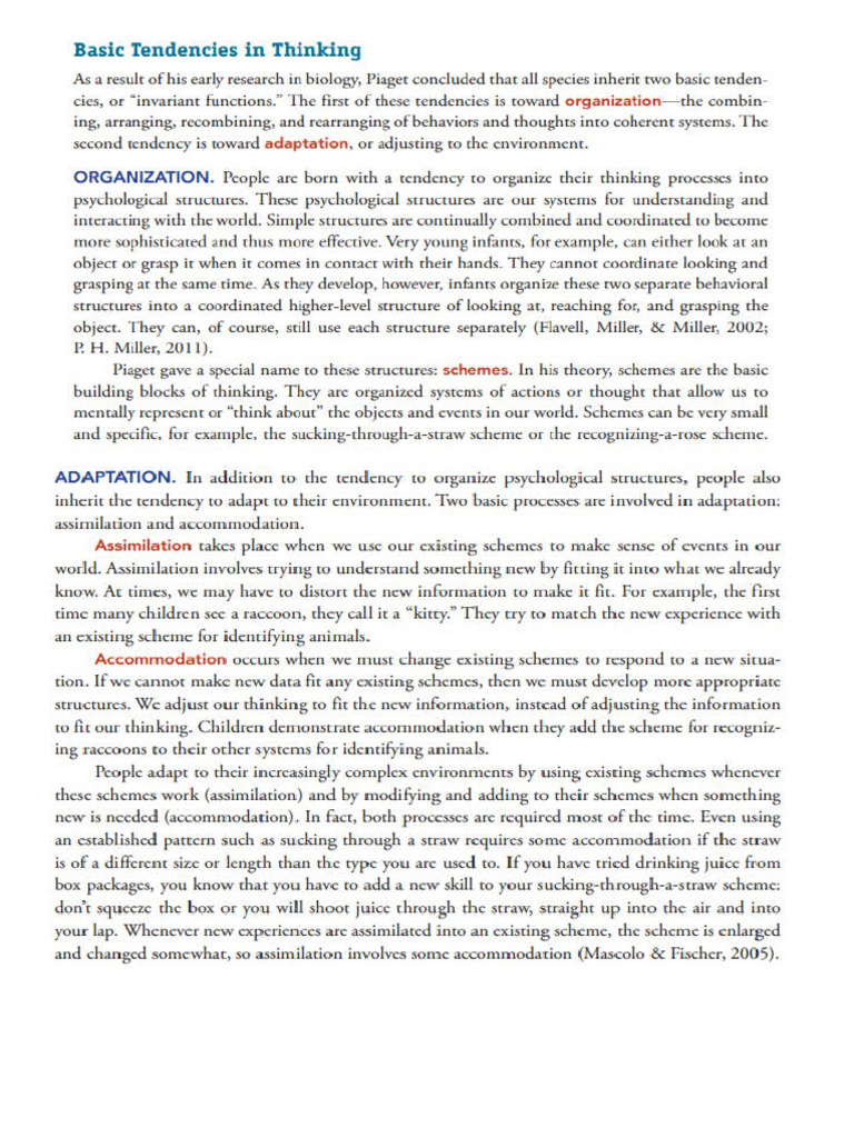 Piaget Fact Sheet | PDF