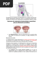 REDUPROST DUO Prospecto Profesionales RAFFO | PDF | Antígeno específico ...