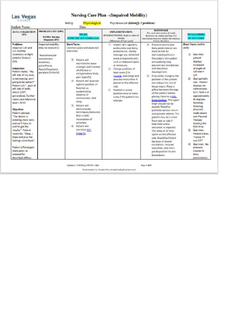 Care Plan Sample | PDF