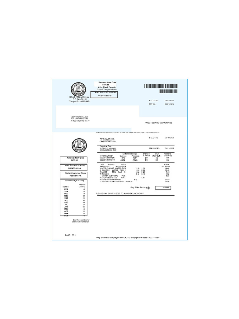 Florida Water Utility Bill. SARAH - PDF - 20250612 - 000437 - 0000 | PDF