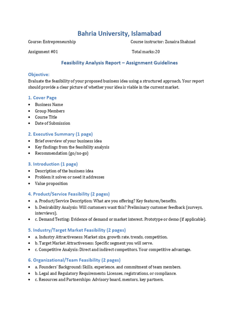 Feasibility Analysis Assignment Guidelines 02052025 013850pm | PDF | Startup Company | Small ...