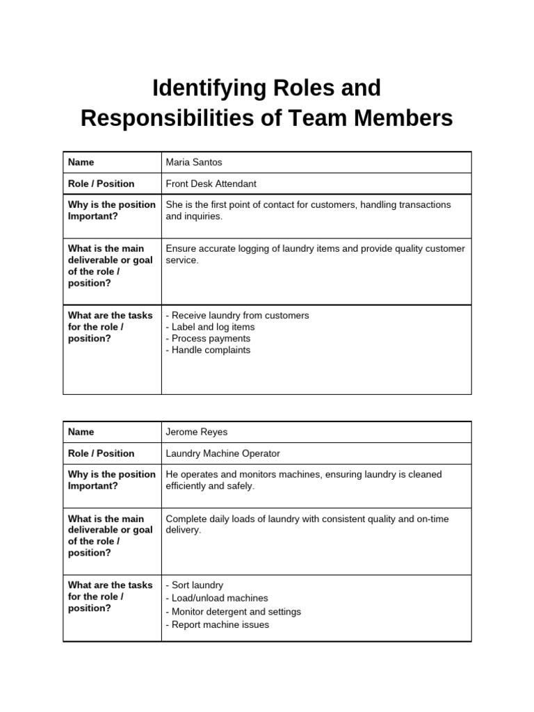 Identifying Roles and Responsibilities of Team Members | PDF