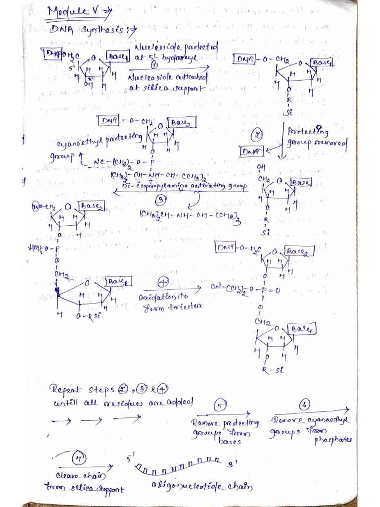 Module 5 Bioorganic | PDF