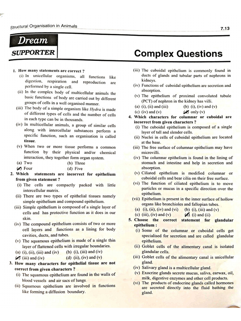 Structural Organisation - Questions | PDF