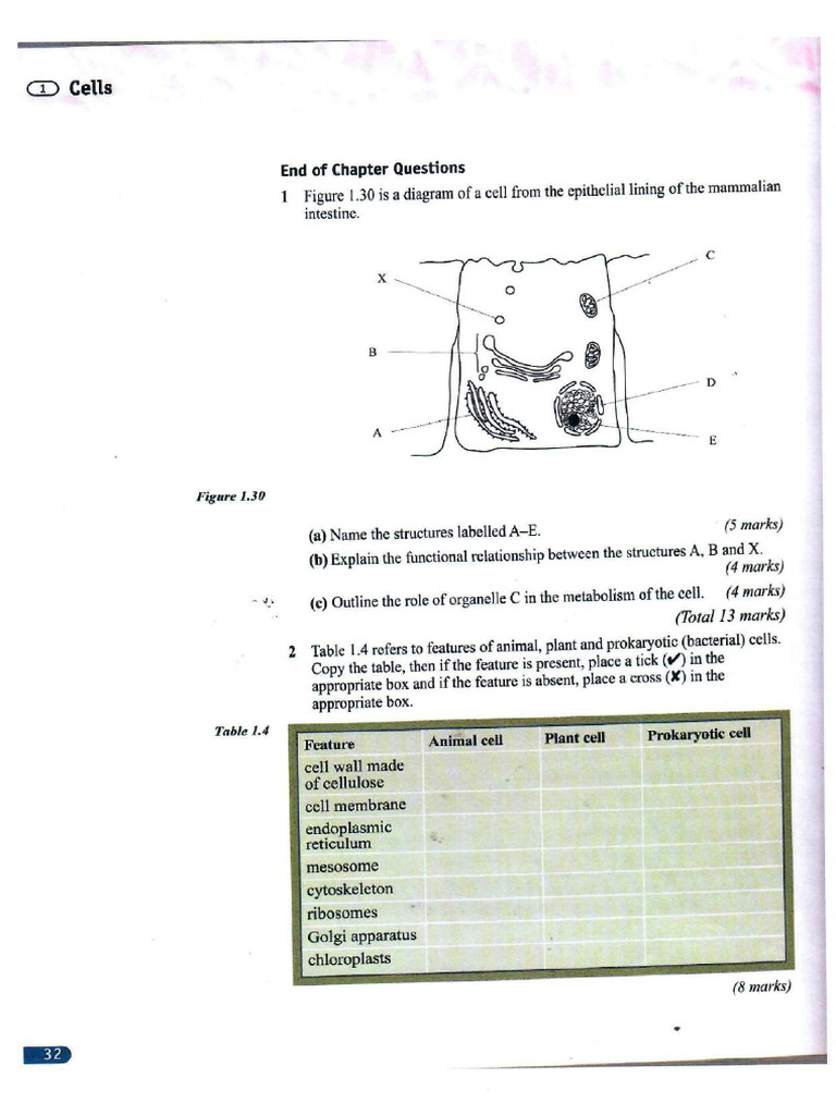 Topic 1 Practice | PDF