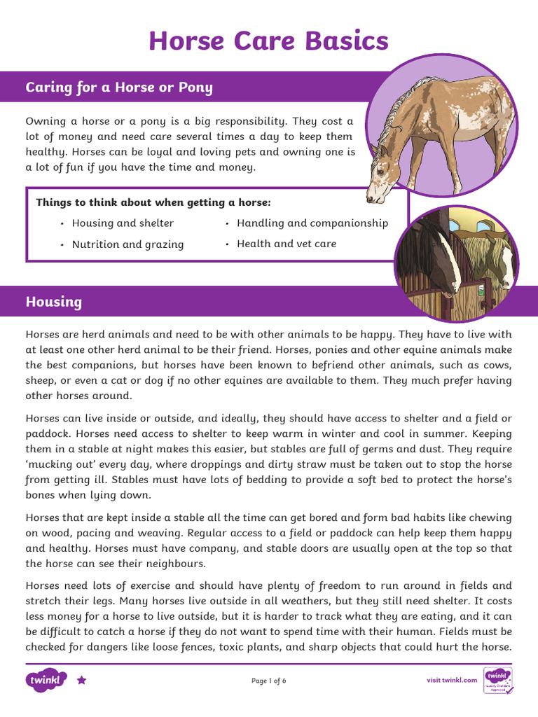 Horse Care Basics Differentiated Reading Comprehension - 1 Star | PDF ...
