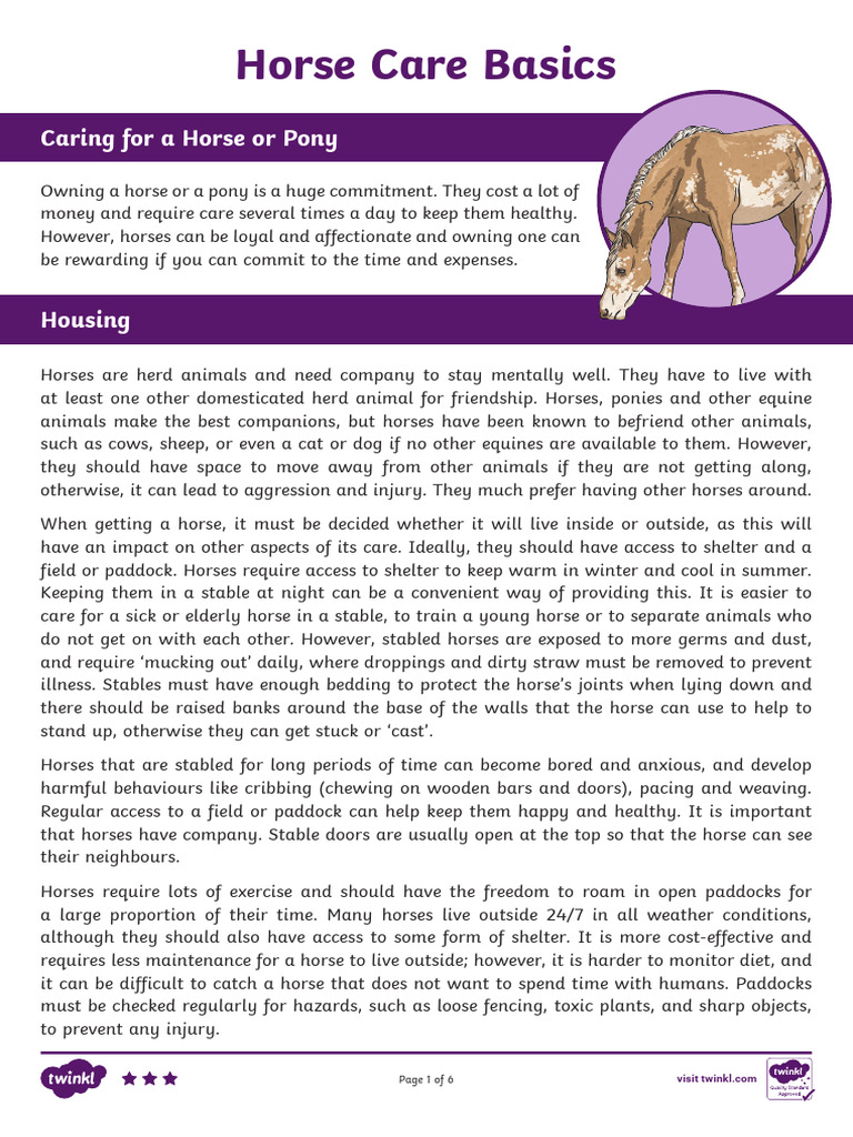 Horse Care Basics Differentiated Reading Comprehension - 3 Star | PDF ...