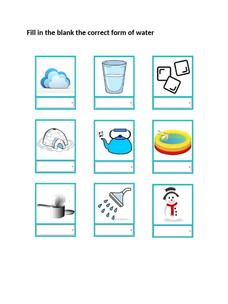 Fill in The Blank The Correct Form of Water | PDF