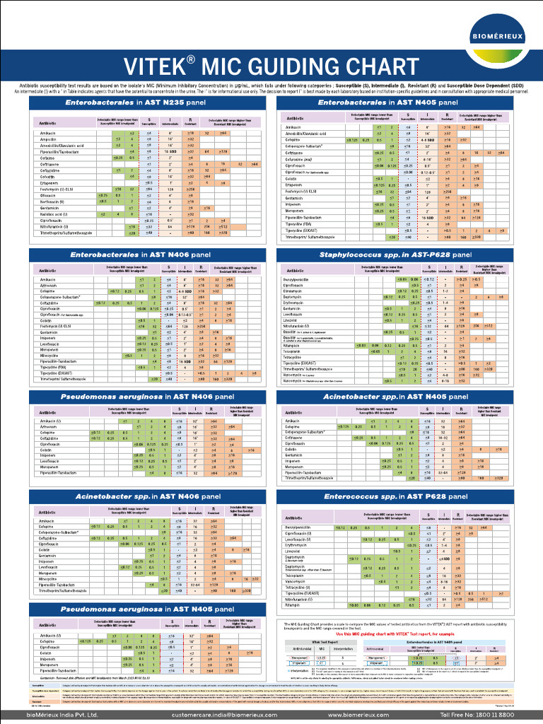 MIC Chart March 2025 | PDF