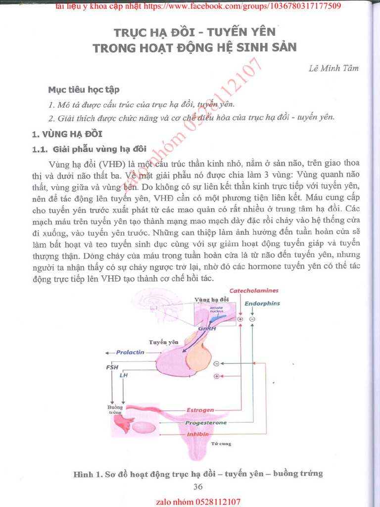 Tru Ha Doi Tuyen Yen Trong Hoat Dong He Sinh San 1600 PDF - Gdrive.vip ...