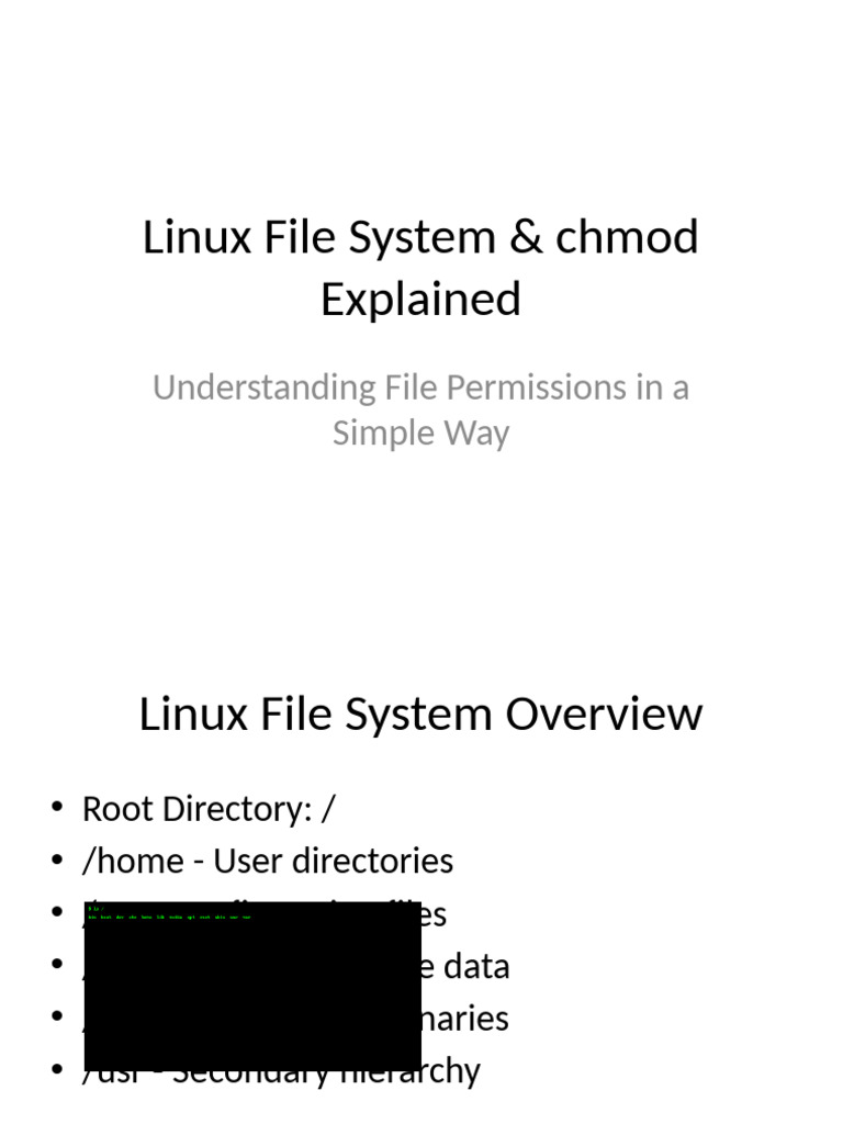 Linux File System and Chmod | PDF