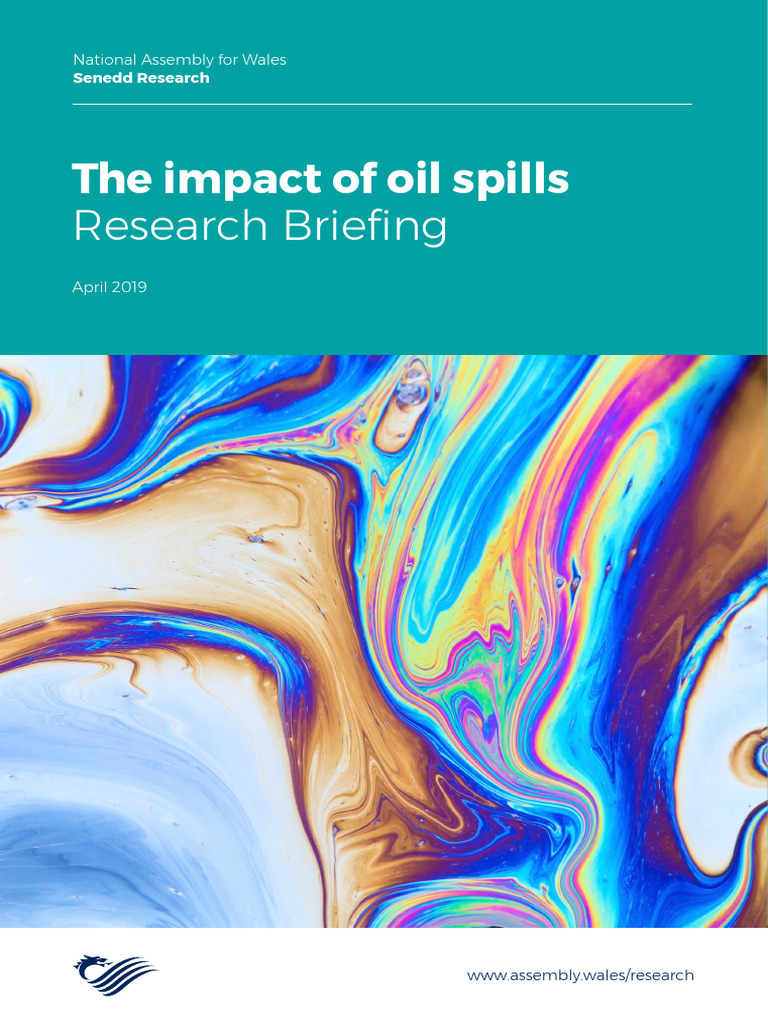 The Impact of Oil Spills | PDF | Petroleum | Oil Spill