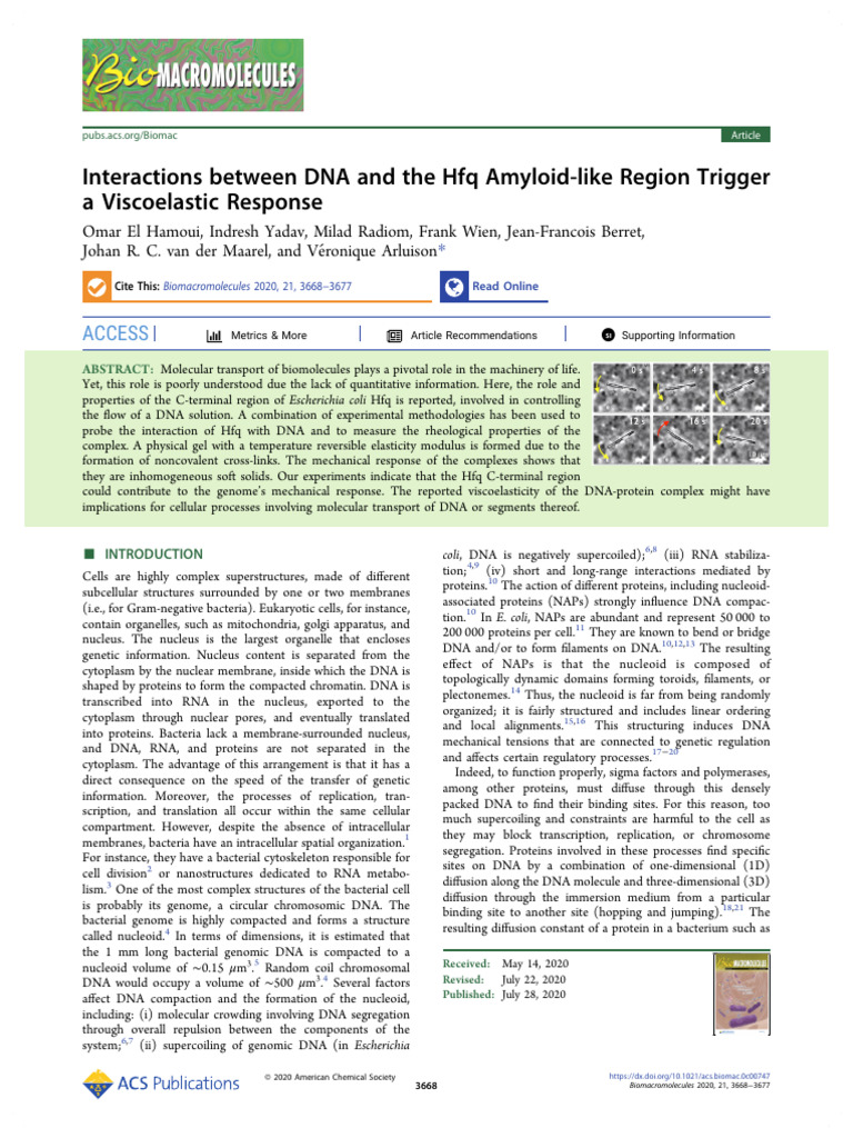 El Hamoui Et Al 2020 Interactions Between Dna and the Hfq Amyloid Like ...