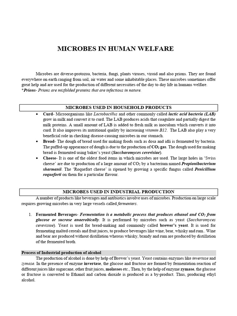 Microbes in Human Welfare | PDF | Sewage Treatment | Anaerobic Digestion