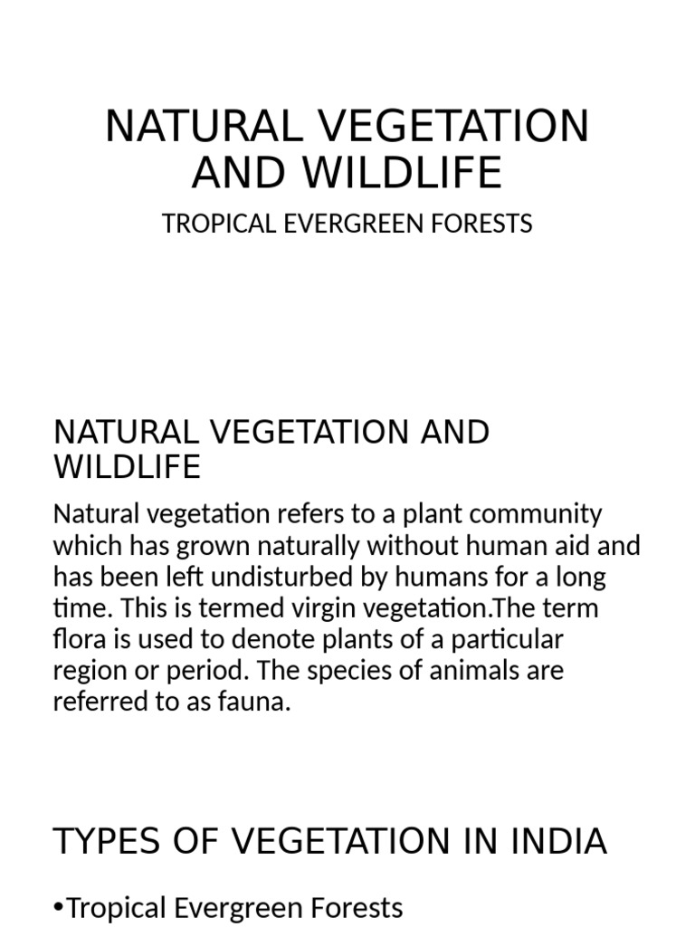 Natural Vegetation and Wildlife | PDF