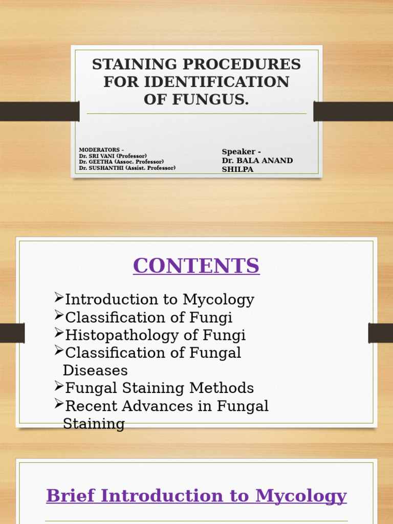 Fungal Staining Presentation | PDF | Staining | Fungus