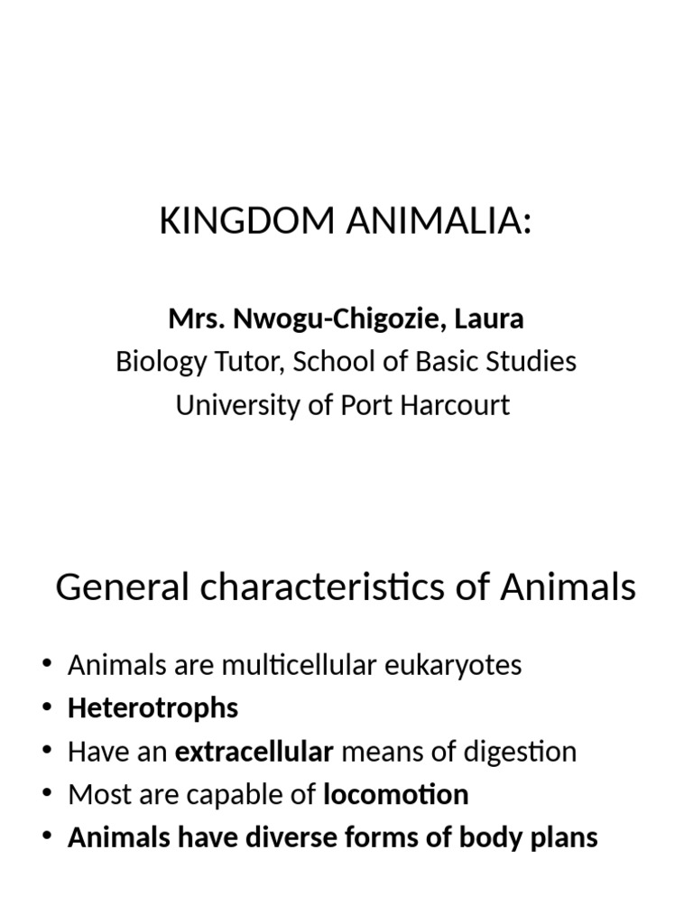 Animalia 105008 | PDF | Vertebrates | Invertebrate