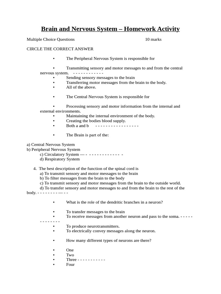 Brain and Nervous System Homework Task | PDF | Cerebrum | Nervous System