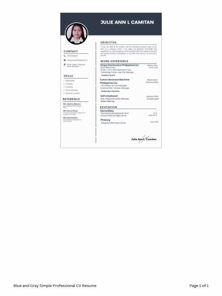 Blue and Gray Simple Professional CV Resume - 20250523 - 061709 - 0000 ...