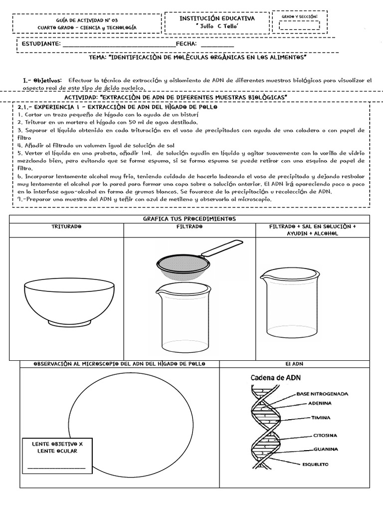 Practica de Laboratorio - Adn Higado - Tomate Platanos | PDF | Adn | sal