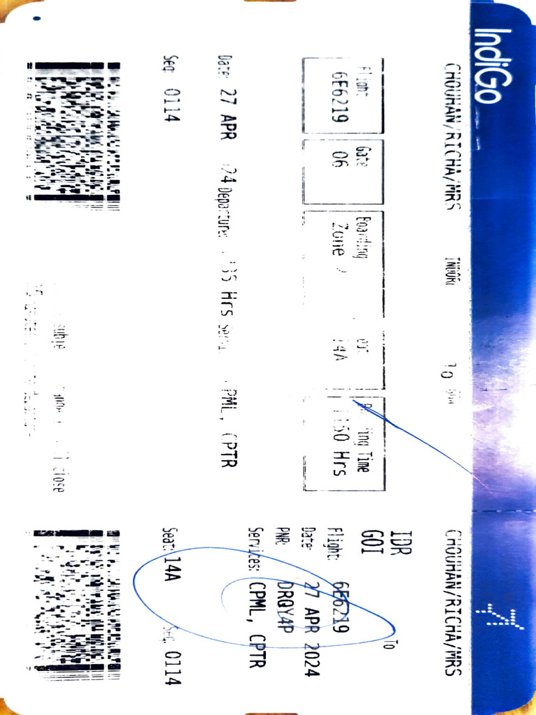 Boarding Pass - Indore To Goa | PDF