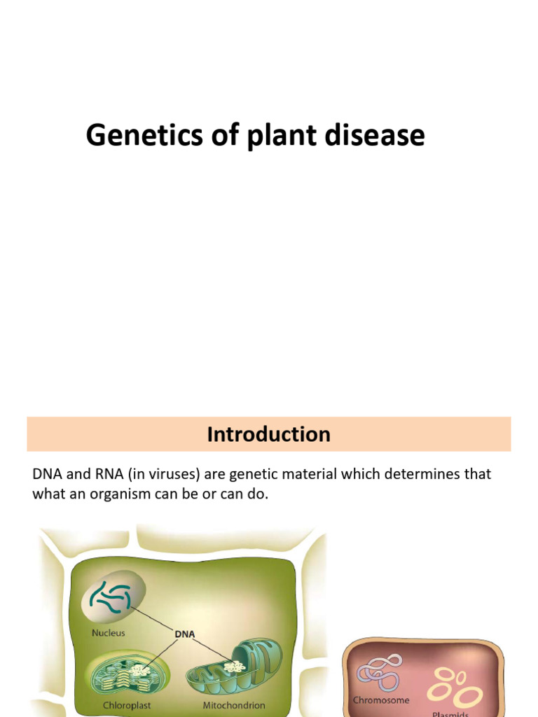 Genetic Variability in Plant Pathogens | PDF | Ploidy | Gene