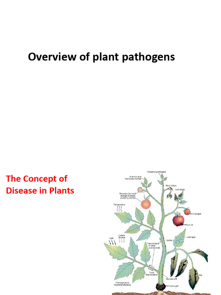 Lecture 1_Overview of Plant Pathogenesis | PDF | Trees | Biology