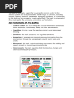 Human Brain Class10 Notes | PDF