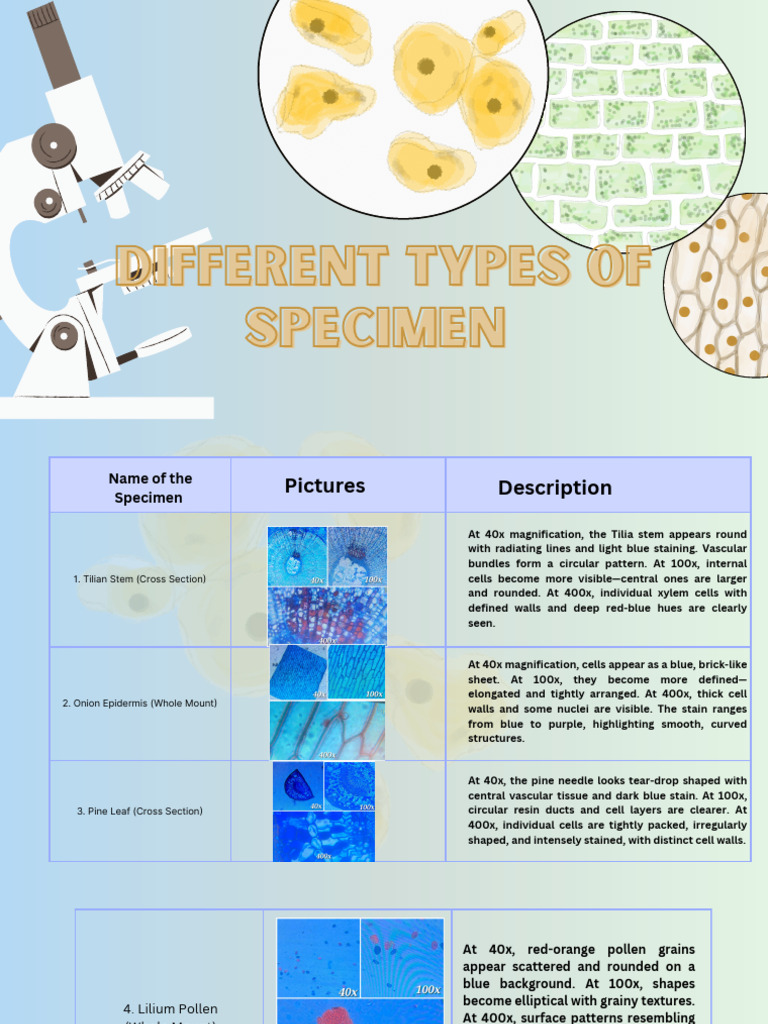 Different-Types-Of-Specimen 20250629 124203 0000 | PDF | Staining ...