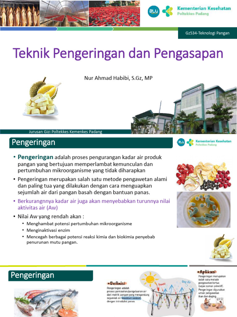 Teknik Pengeringan dan Pengasapan Pangan | PDF