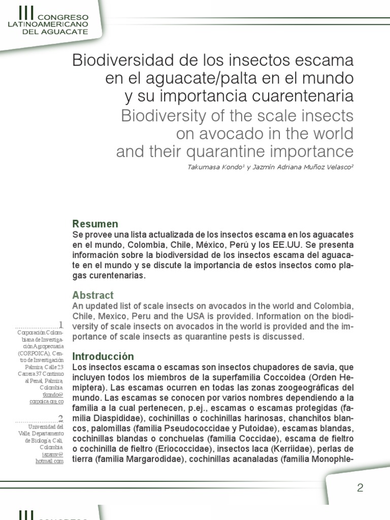 Bio Divers I Dad Insect Ose Scam A | PDF | Aguacate | Insectos