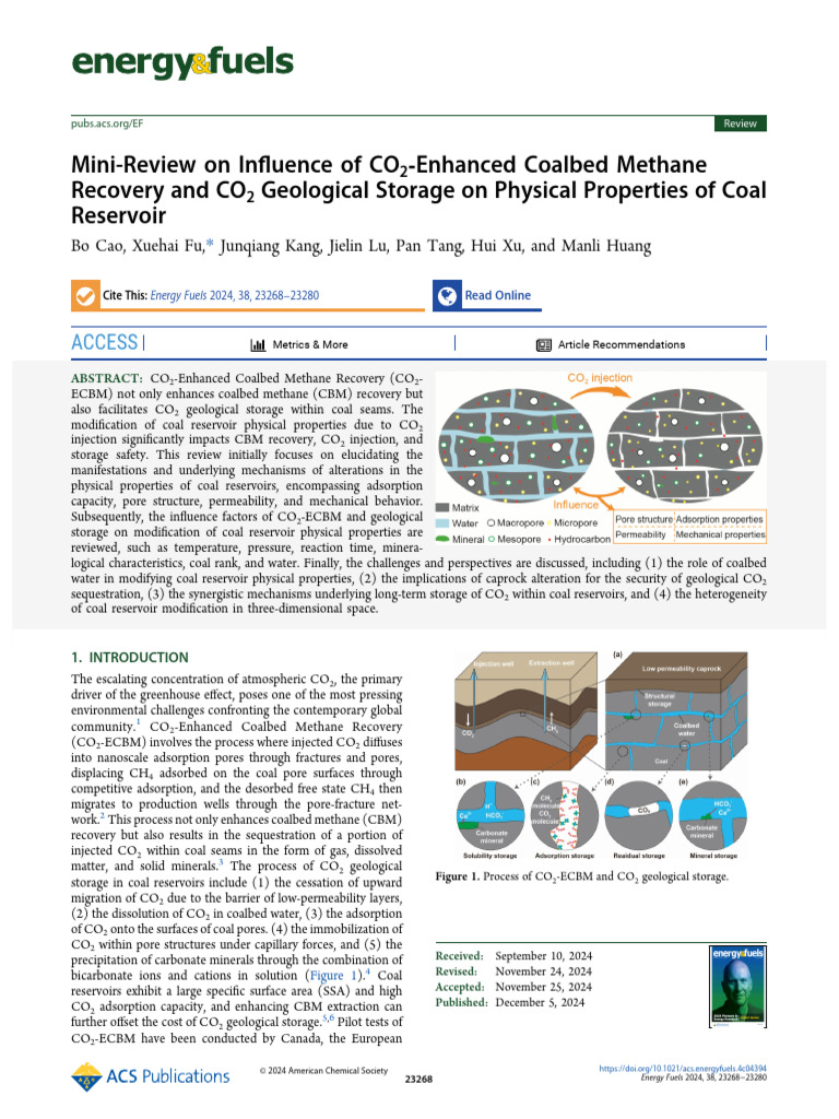CO2-Enhanced Coalbed Methane Review | PDF | Adsorption | Porosity