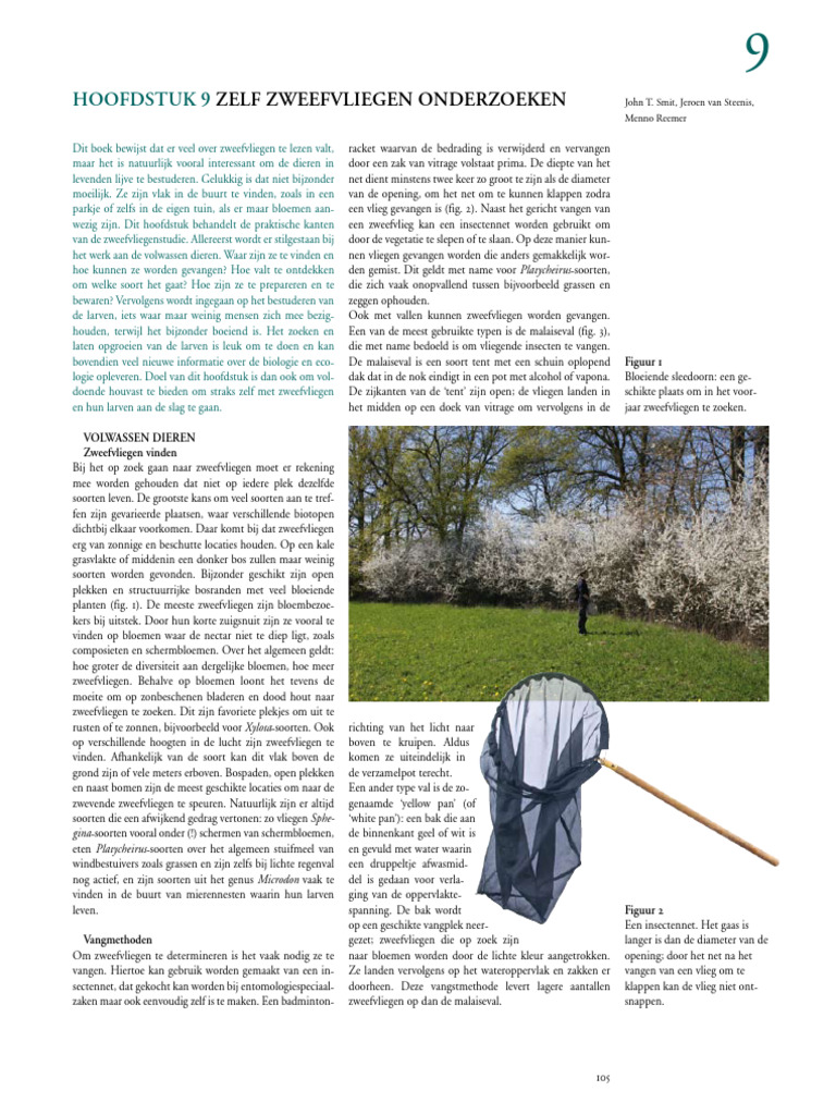 Zweefvliegen h09 | PDF