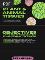 Class 9th Animal Tissue Notes | PDF | Epithelium | Muscle