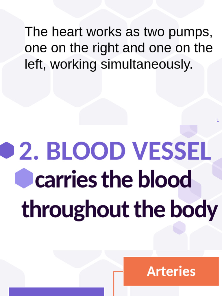 Circulatory System GR 9 | PDF