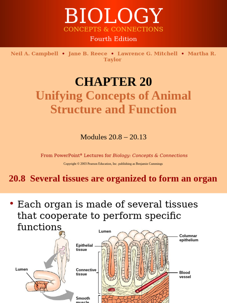 Animal Structure and Function Overview | PDF | Human Body | Lymphatic ...