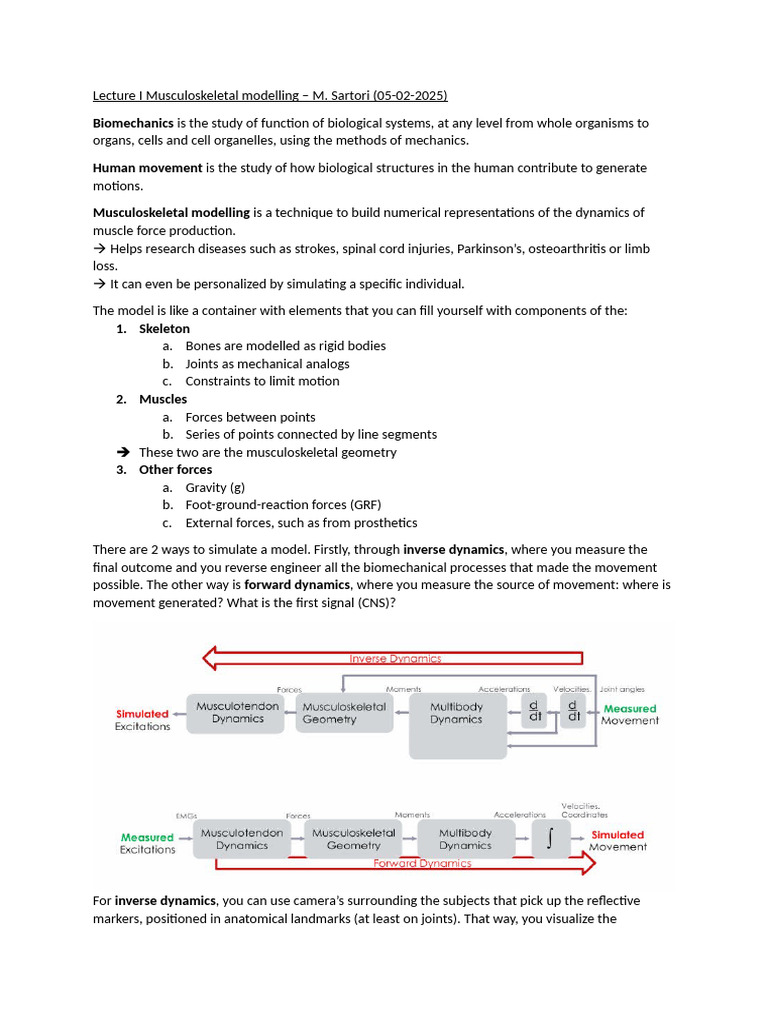 Musculoskeletal Modelling Overview | PDF | Force | Human ...