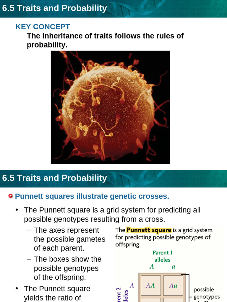 Bio ch06-5 | PDF