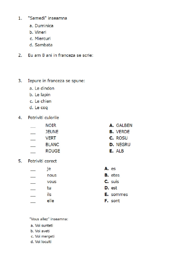 Test Franceza Miruna | PDF