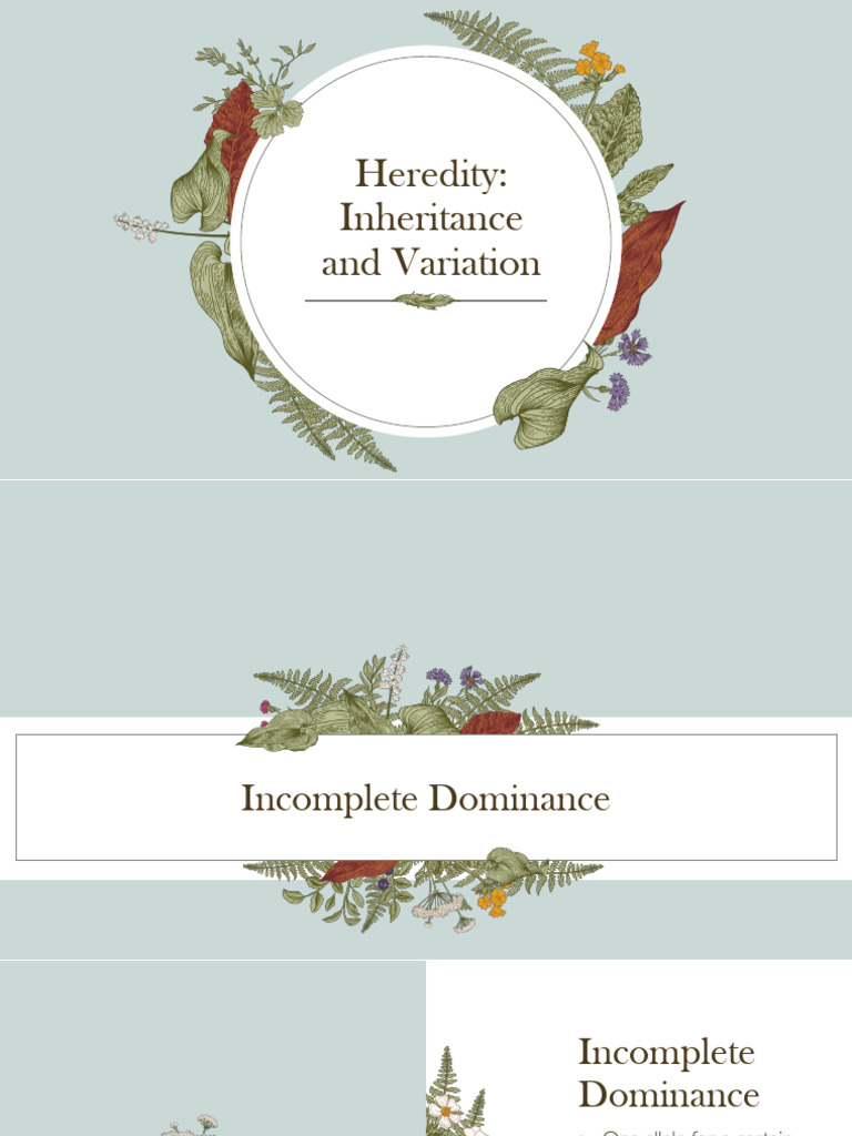 Heredity Inheritance and Variation | PDF | Dominance (Genetics) | Zygosity