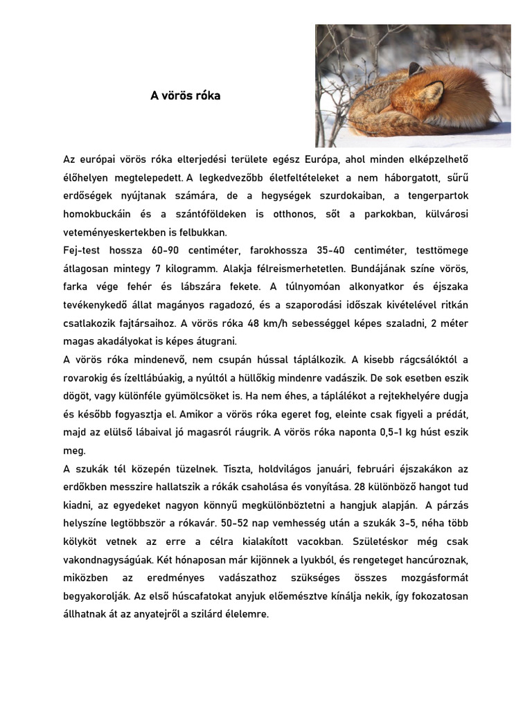 A Vörös Róka Szövegértés | PDF
