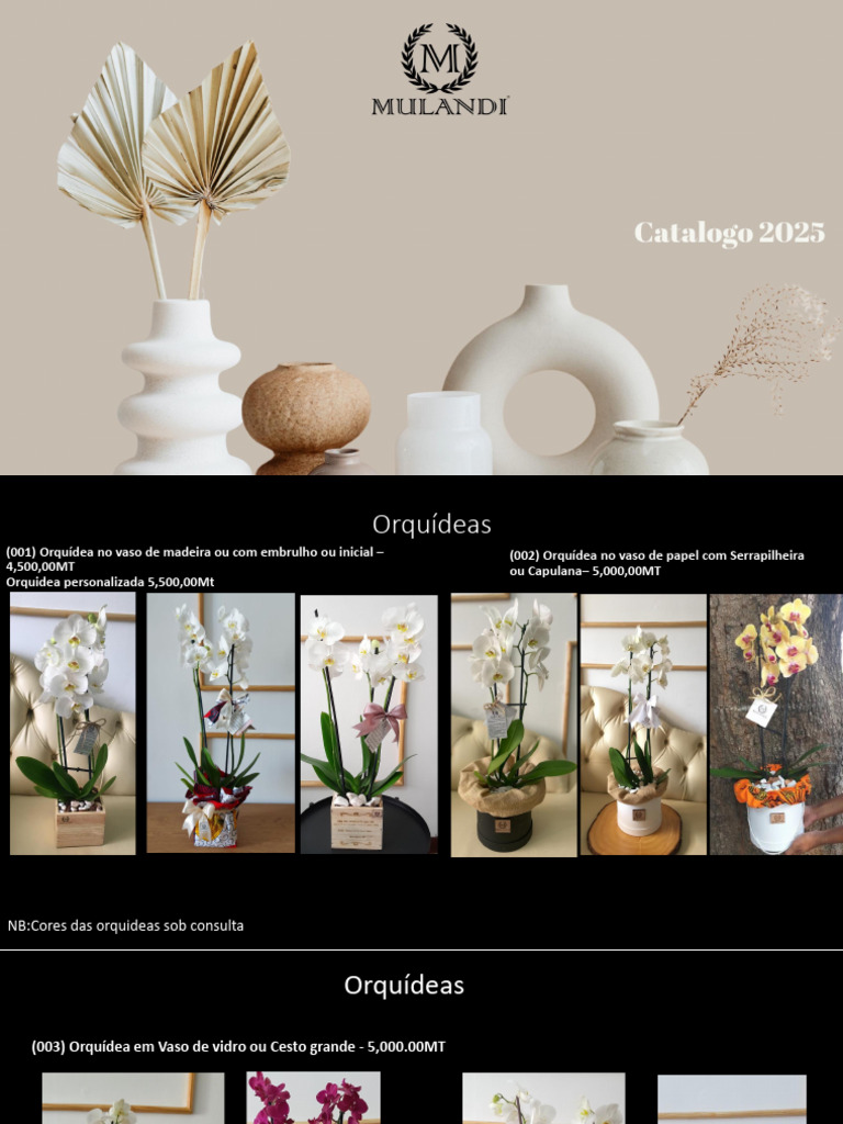Mulandi-Catalogo de Maio 2025 | PDF