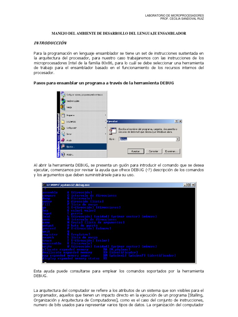 Manual Debug | PDF | Lenguaje ensamblador | Ingeniería Informática